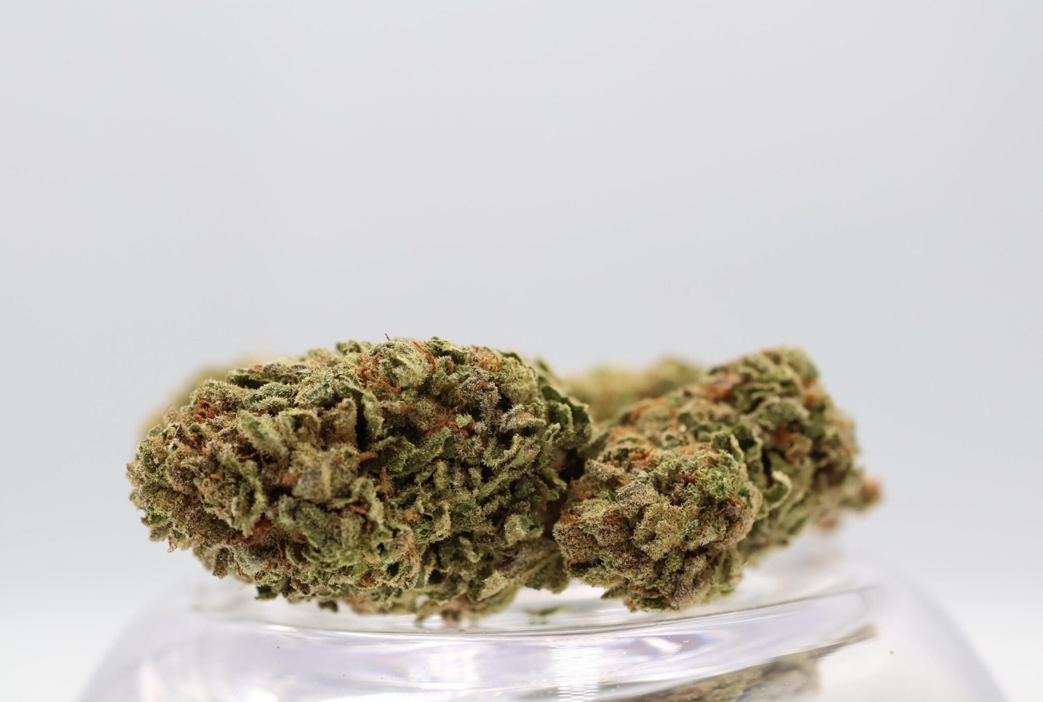 SLURRICANE GH – Infusion Social Club – Cannabis, Exceptional Dining & More